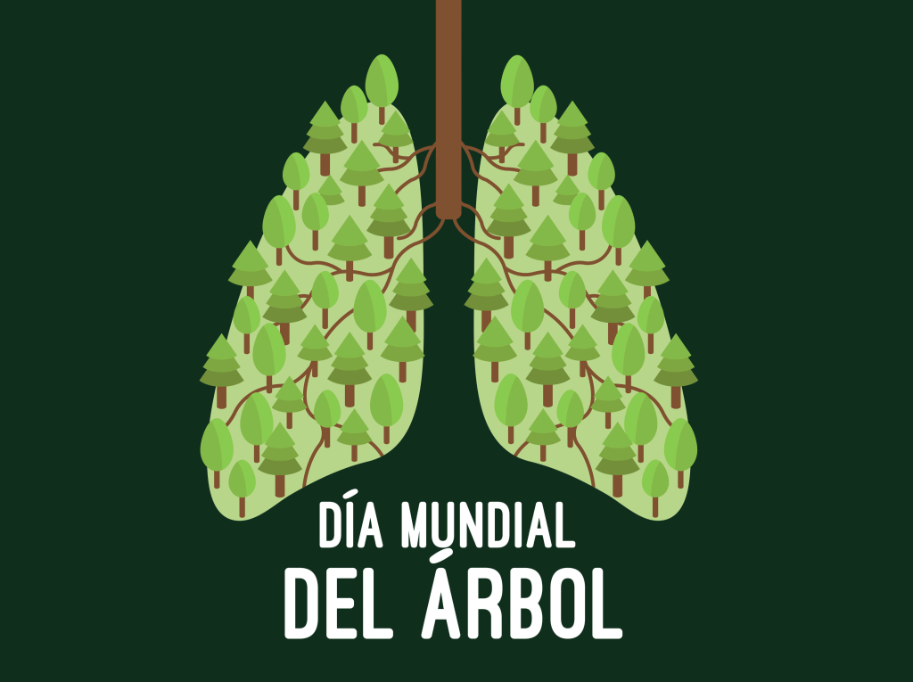 Día Mundial del Árbol: ¿Cómo se Conmemora en México?